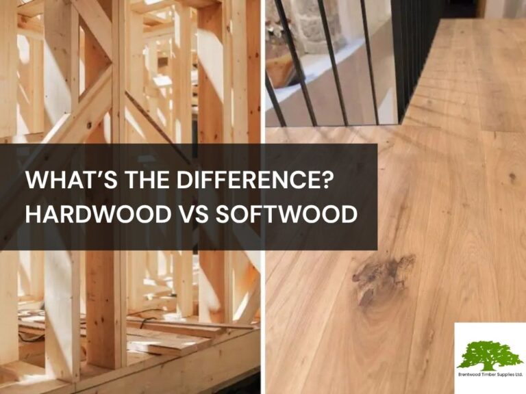 Hardwood Vs Softwood: Uncovering The Differences & Uses | Your Ultimate ...
